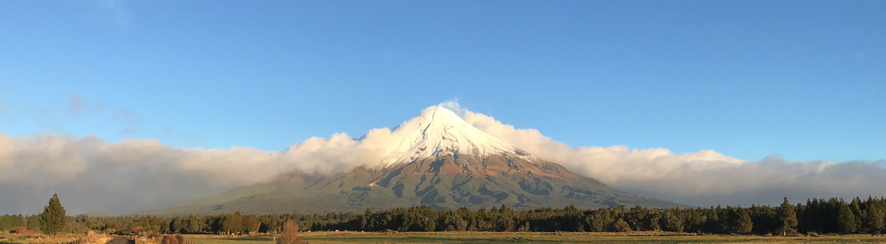 Ngā Hapū / Te Atiawa Hapū | Te Kotahitanga o Te Atiawa
